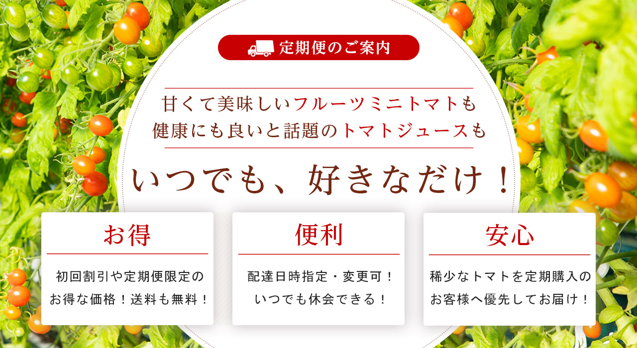 FIRST 定期便 | OSMIC FIRST onlineshop