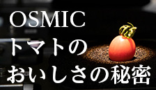 フルーツトマト PRINCESS 2箱セット | OSMIC FIRST onlineshop