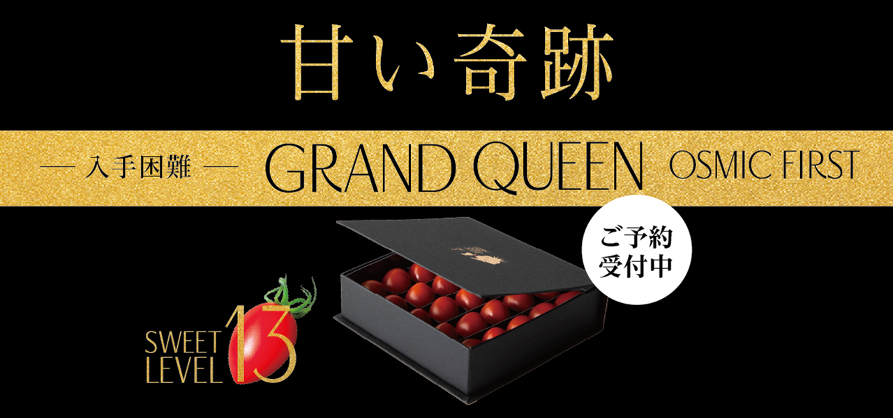 OSMIC FIRST onlineshop