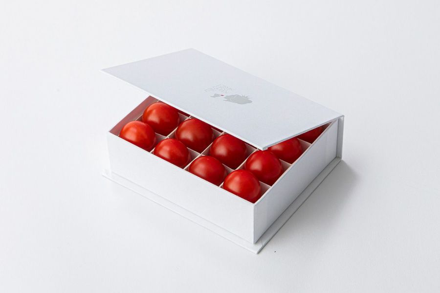 OSMIC FIRST QUEEN 約150g | OSMIC FIRST onlineshop