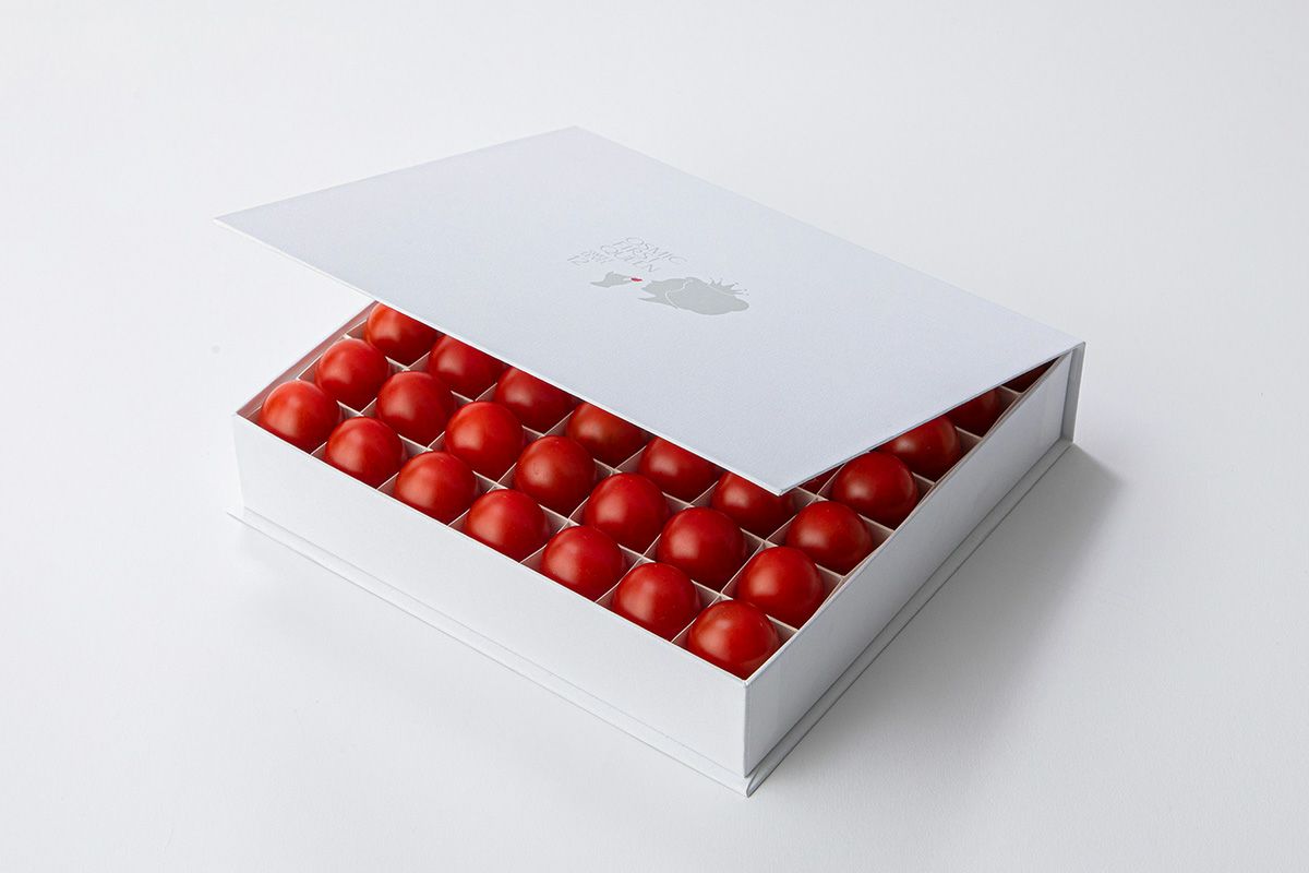 OSMIC FIRST QUEEN 約450g | OSMIC FIRST onlineshop