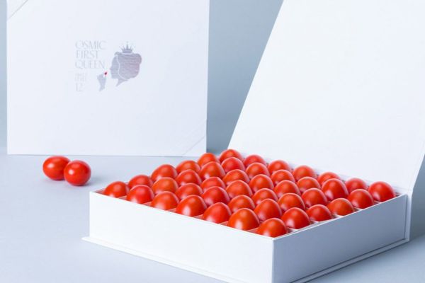 OSMIC FIRST onlineshop