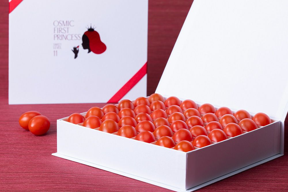 【ご贈答向け】化粧箱 | OSMIC FIRST onlineshop