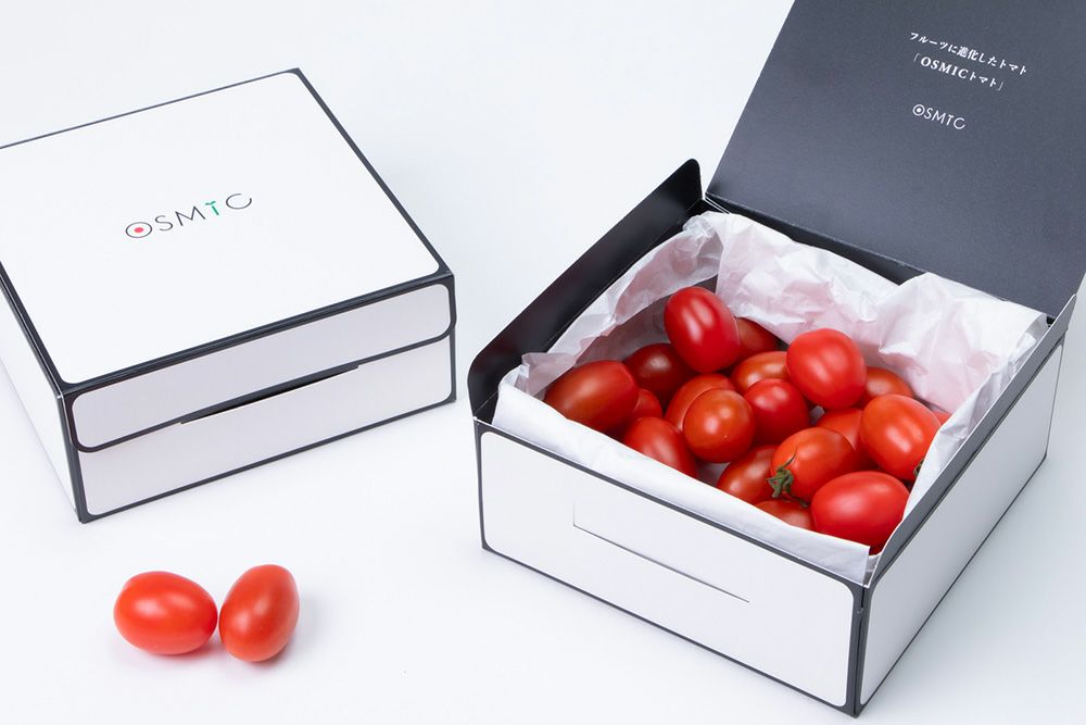 OSMIC TOMATO grande 500g | OSMIC FIRST onlineshop